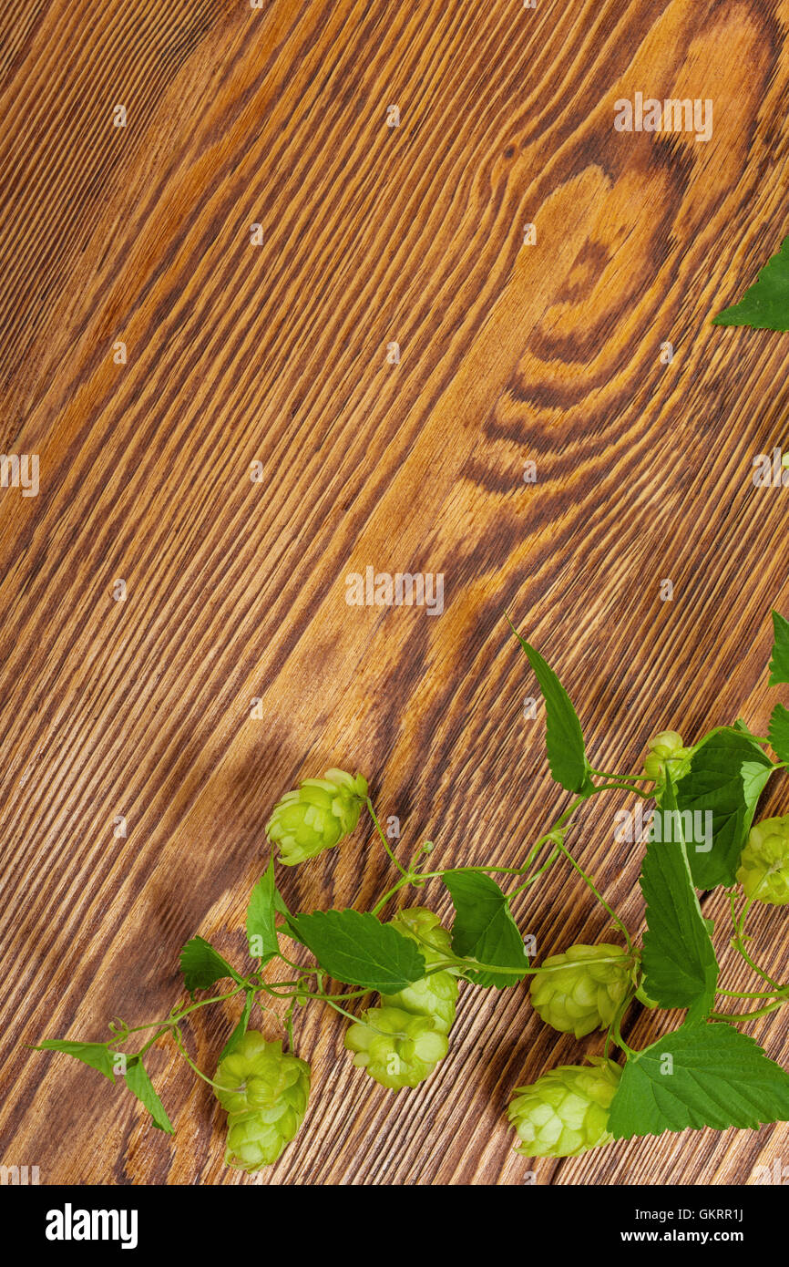 Hop stem hi-res stock photography and images - Alamy