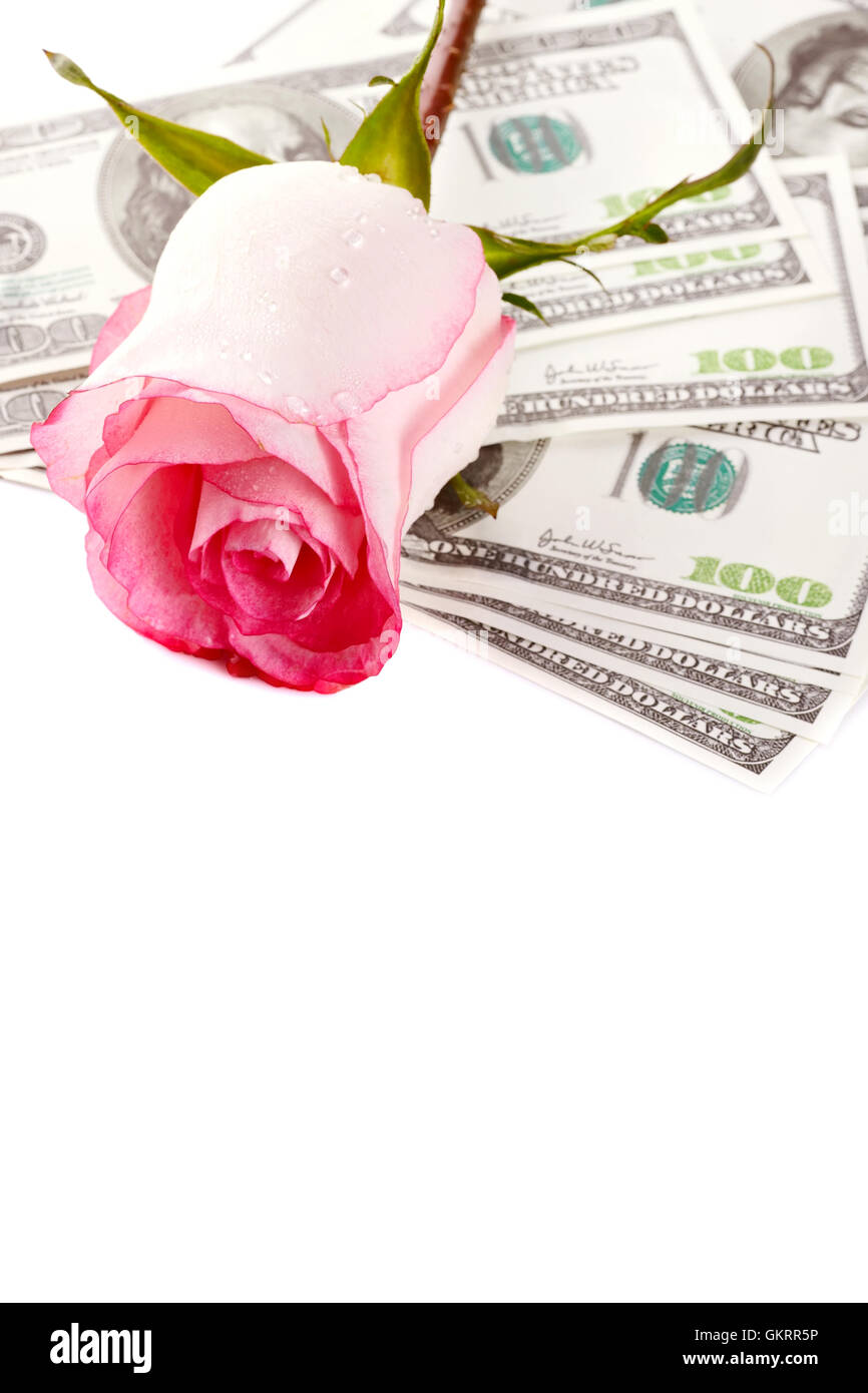 Currency flower hi-res stock photography and images - Alamy