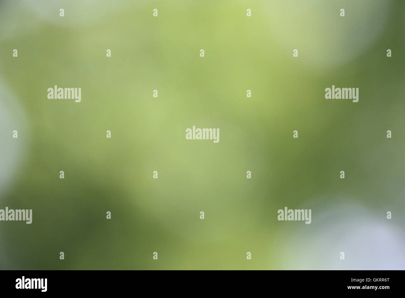 Greenish background wallpaper hi-res stock photography and images - Alamy