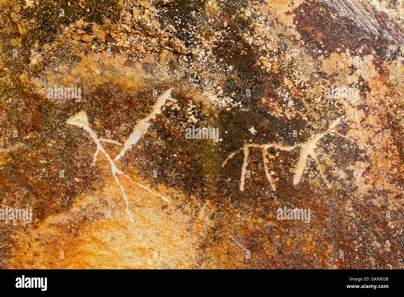 Rock Hieroglyphics Hawaii Stock Photo - Alamy