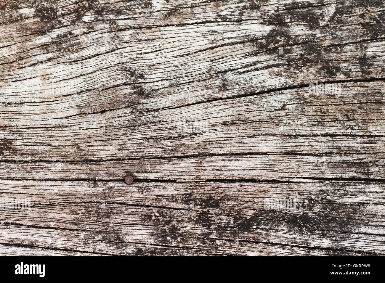 Torn grain wood plank hi-res stock photography and images - Alamy