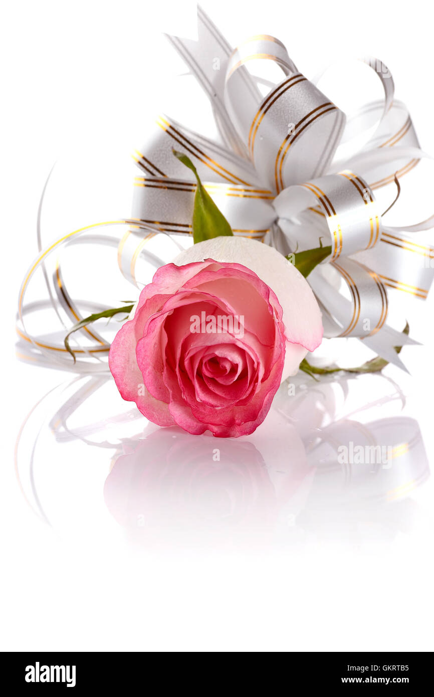 Rose and bow Stock Photo - Alamy