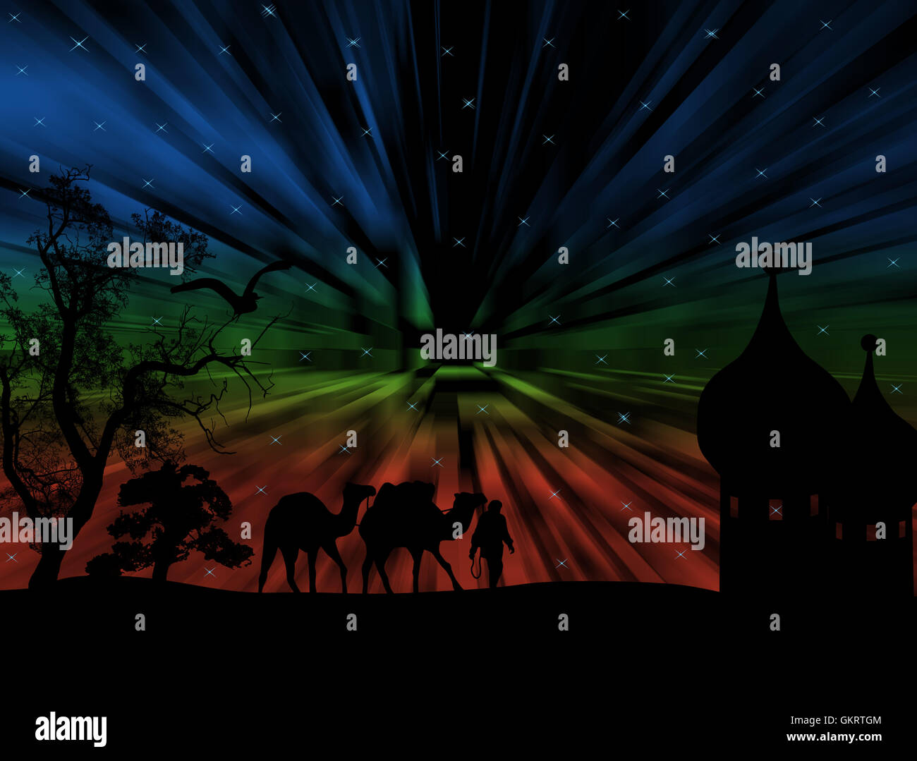 Camel night sky desert hi-res stock photography and images - Alamy