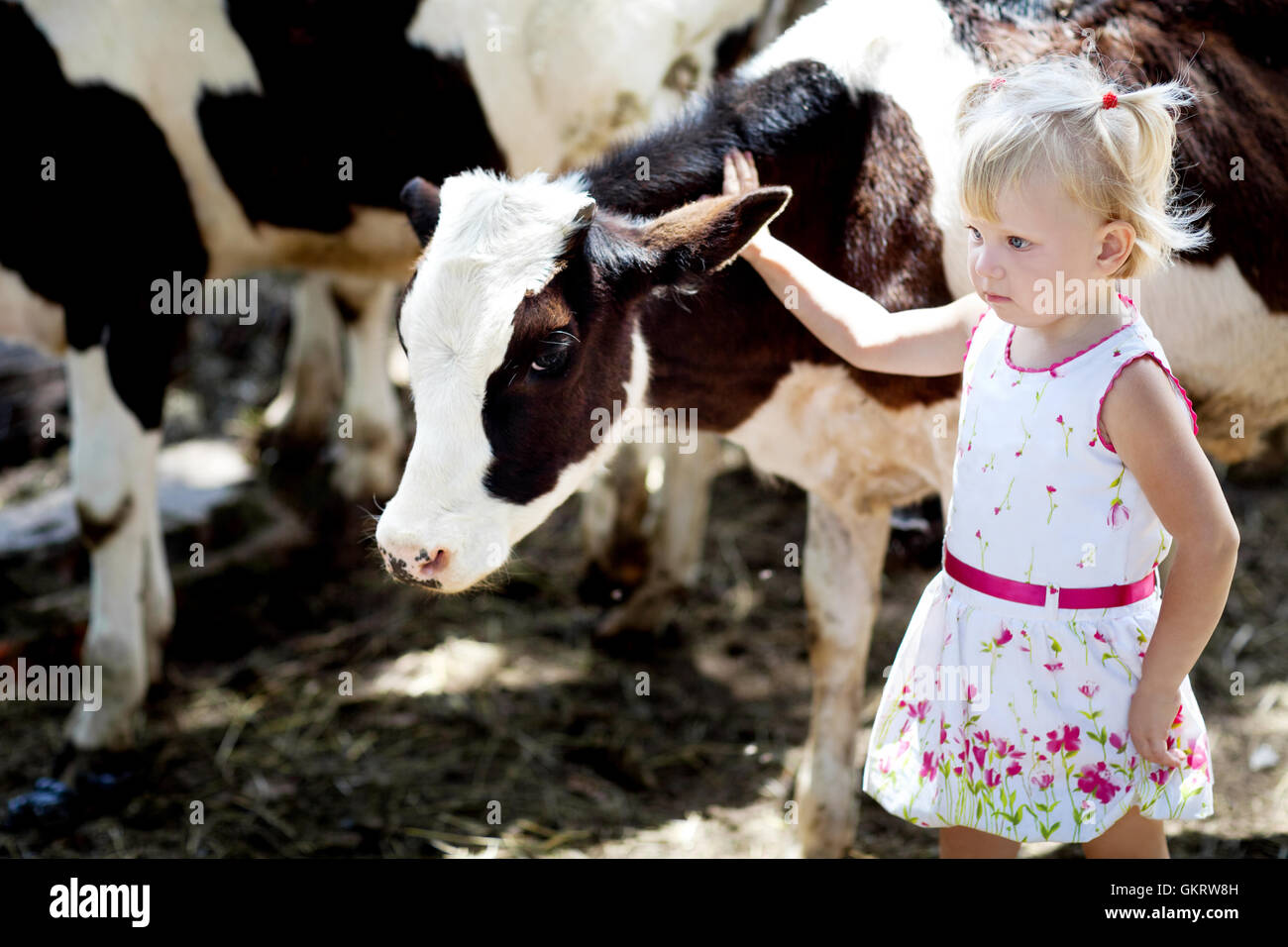 girl and a cow Stock Photo - Alamy