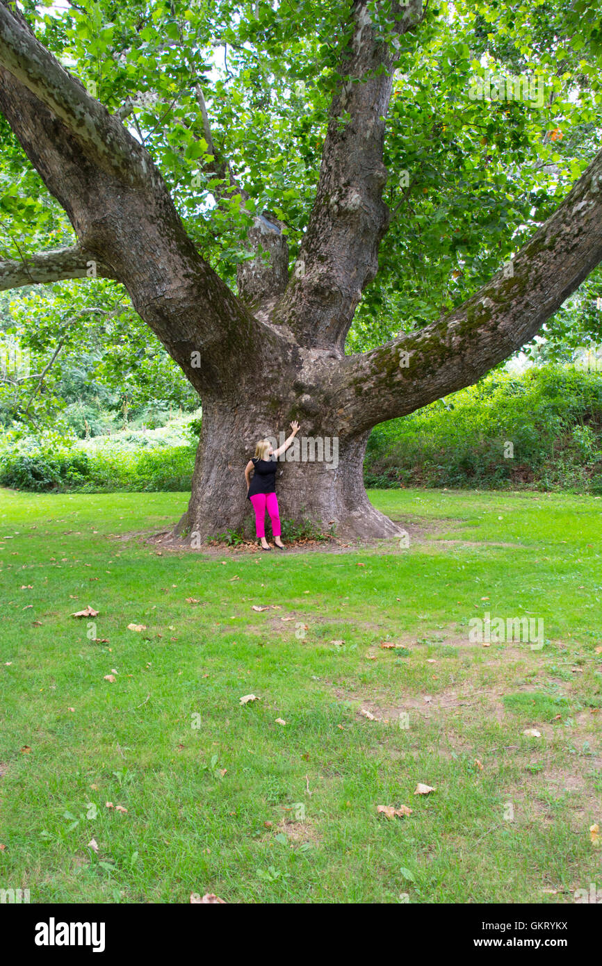 Girl posing with tree hi-res stock photography and images - Alamy