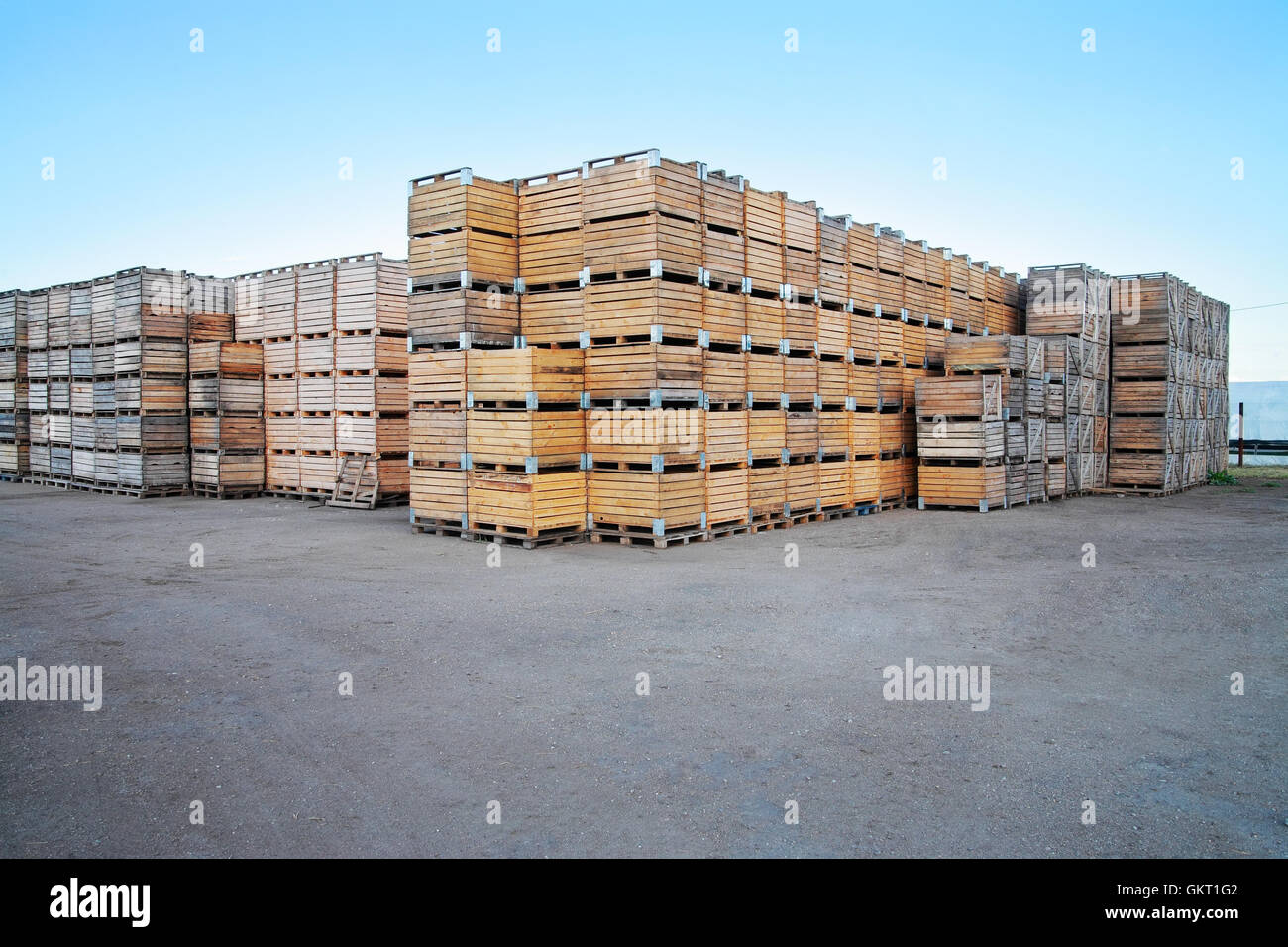 Boxes stacked on wooden pallet hi-res stock photography and images - Alamy
