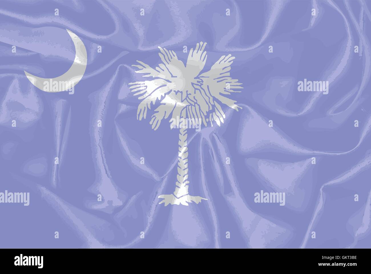 South Carolina State Silk Flag Stock Vector Image & Art - Alamy