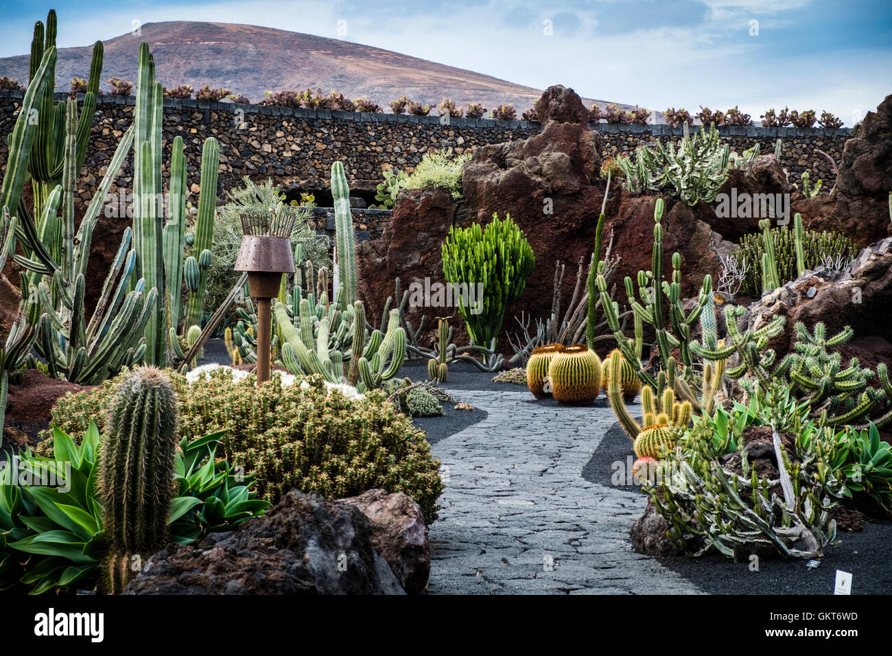 Cactus garden ( Jardin de cactus) designed by Cesar Manrique, Lanzarote ...