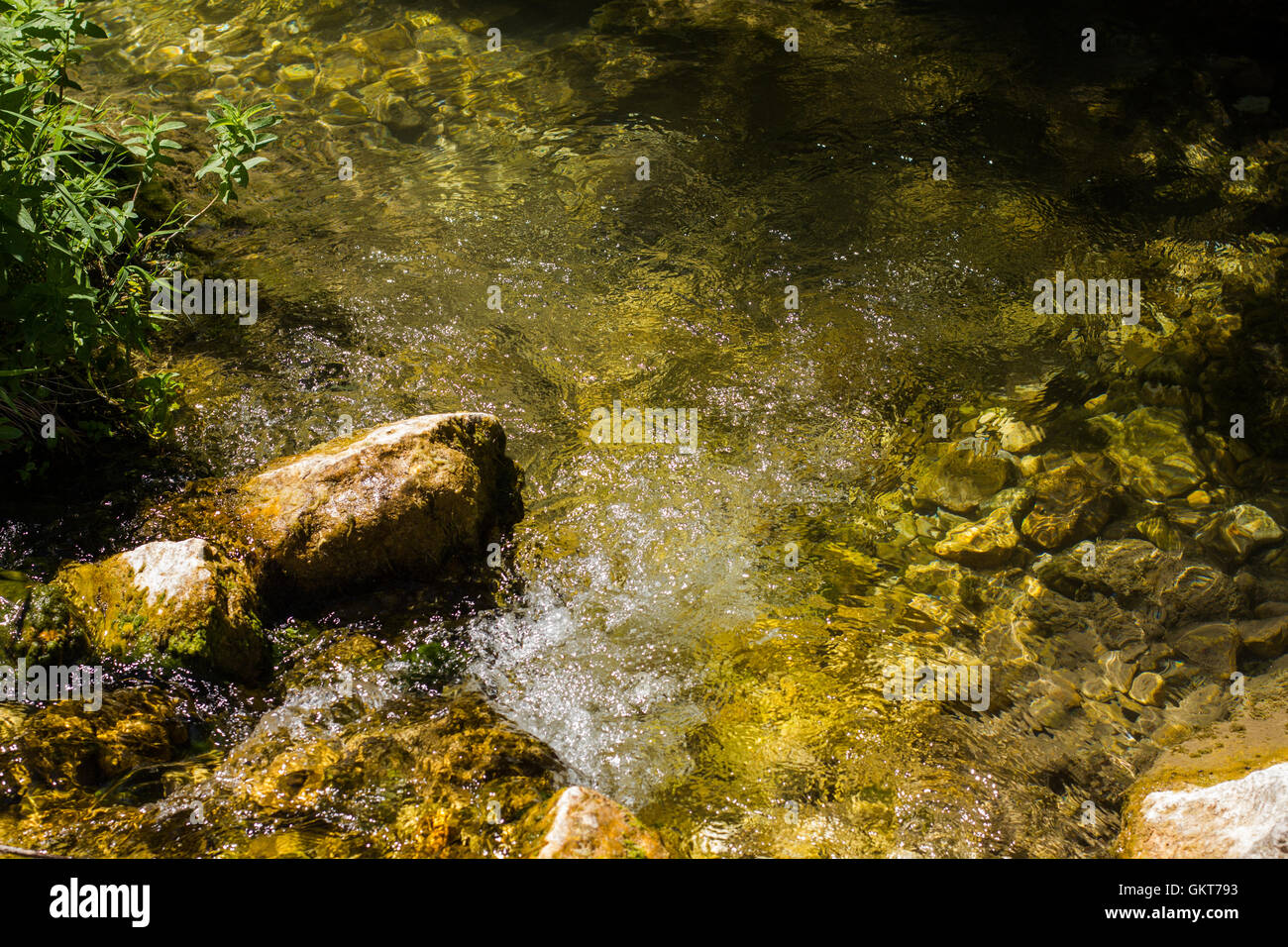 Summer stream over rocks, pure fresh flowing water , daylight Stock ...