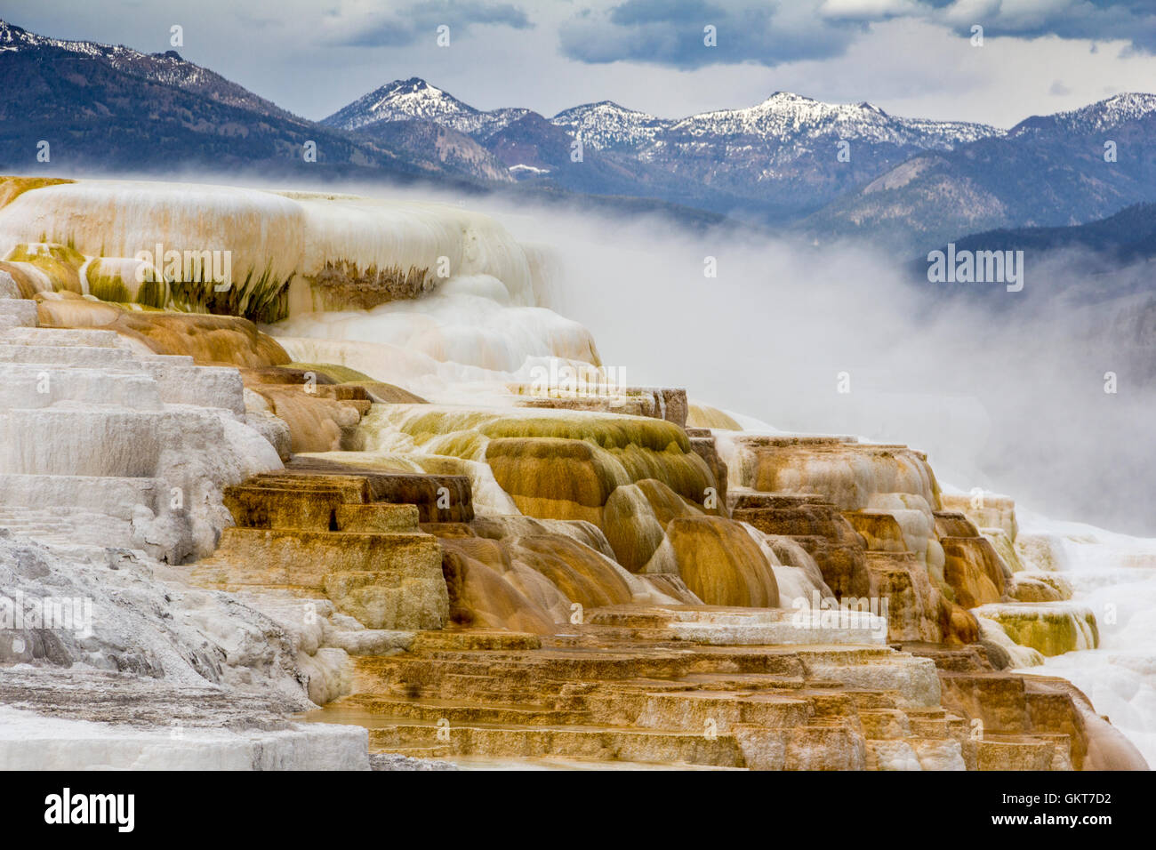 Mammoth Hot Springs, Yellowstone Stock Photo - Alamy