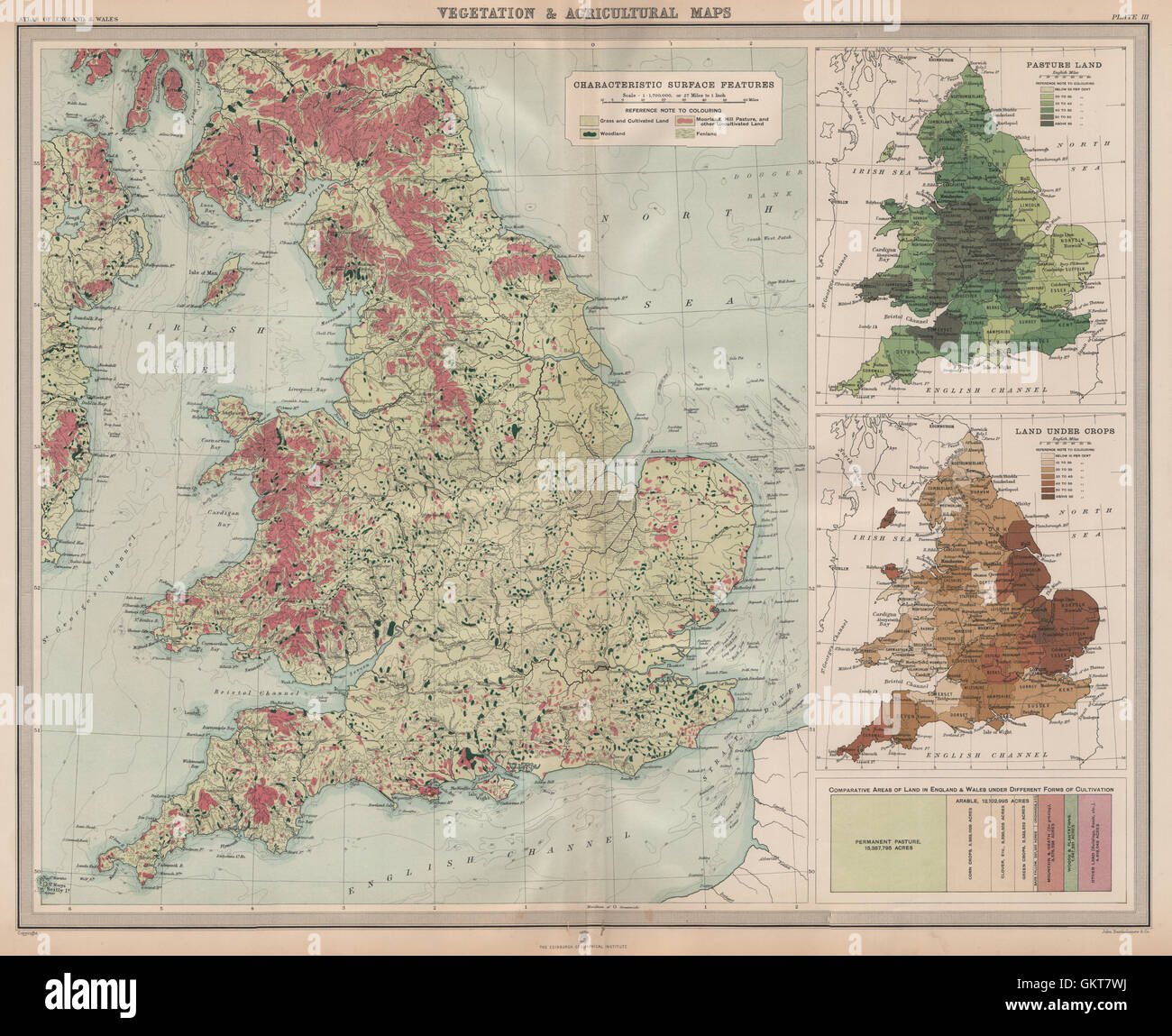 ENGLAND WALES. Vegetation Agriculture cultivated land crops. LARGE ...