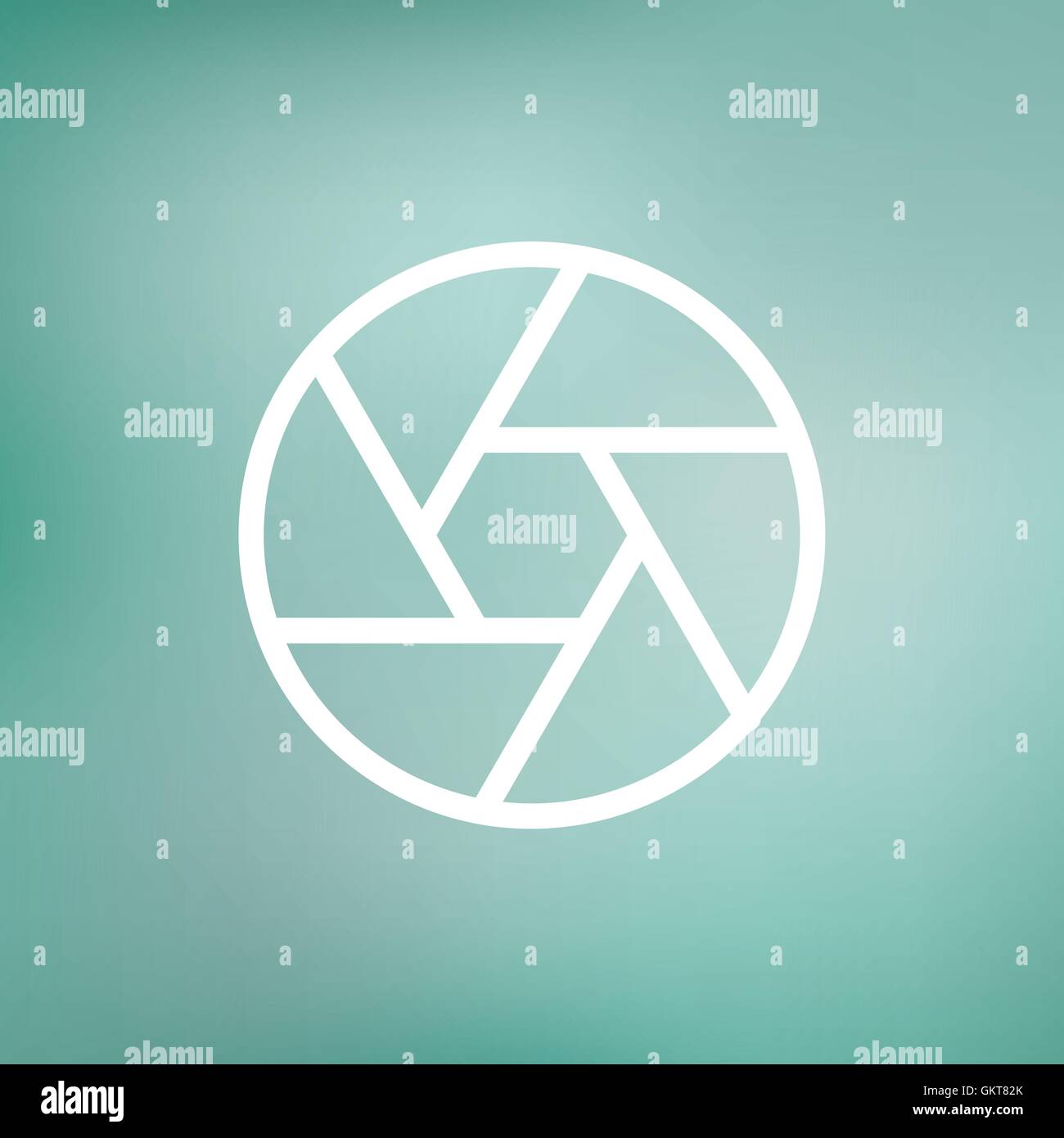 Professional shutter Stock Vector Images - Alamy
