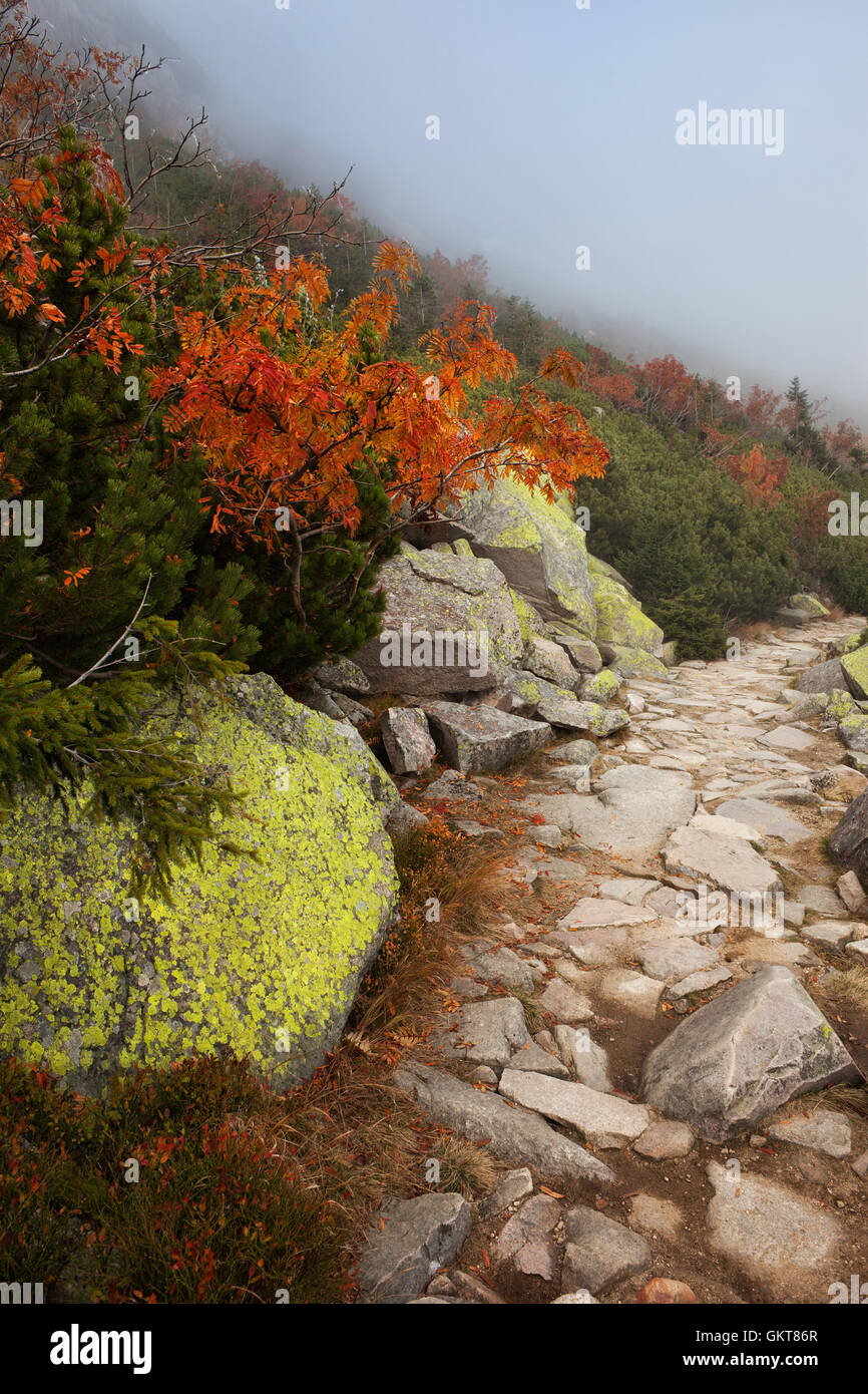 Moss on mountain slope hi-res stock photography and images - Alamy