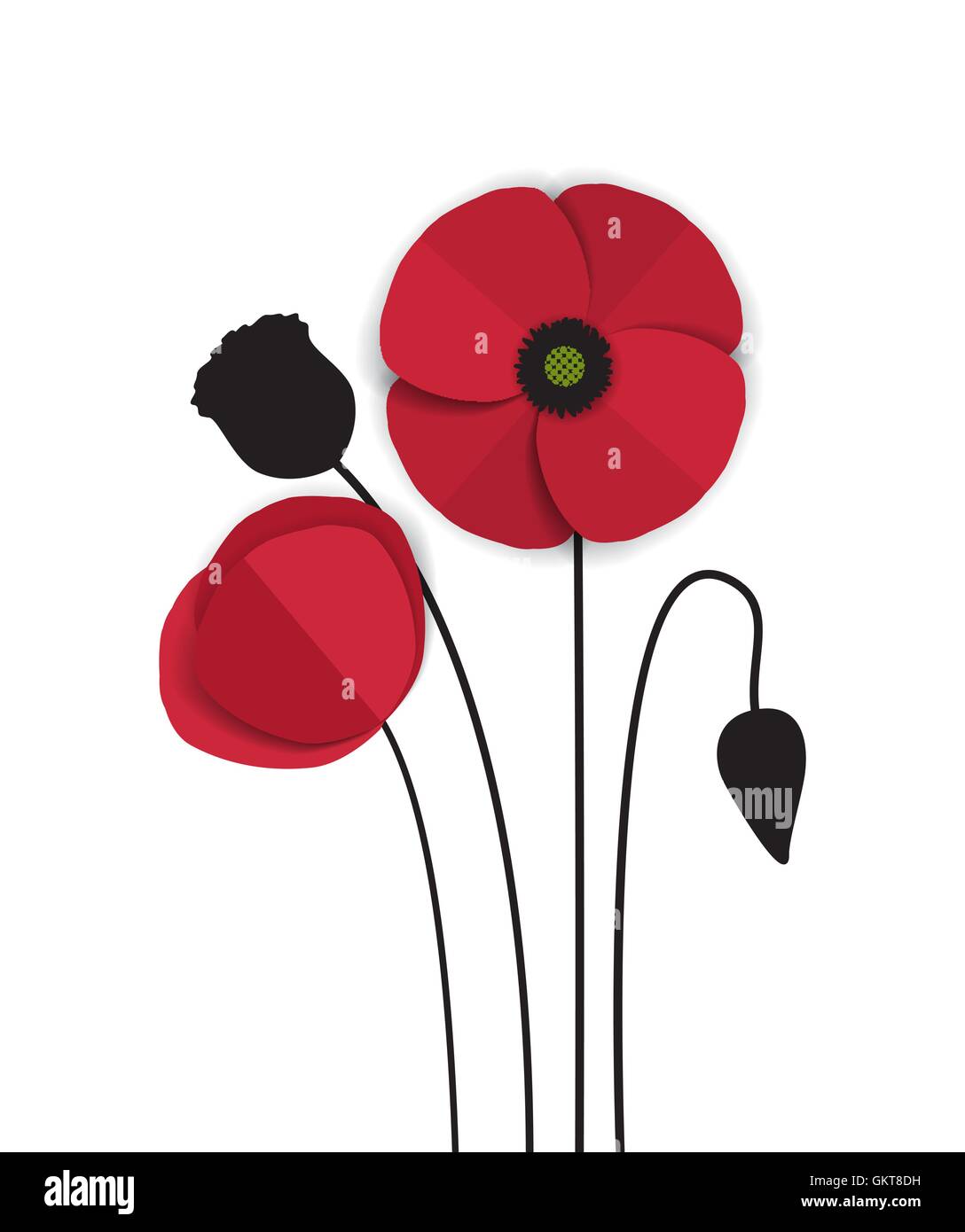 Remembrance day poppy vector hi-res stock photography and images - Alamy