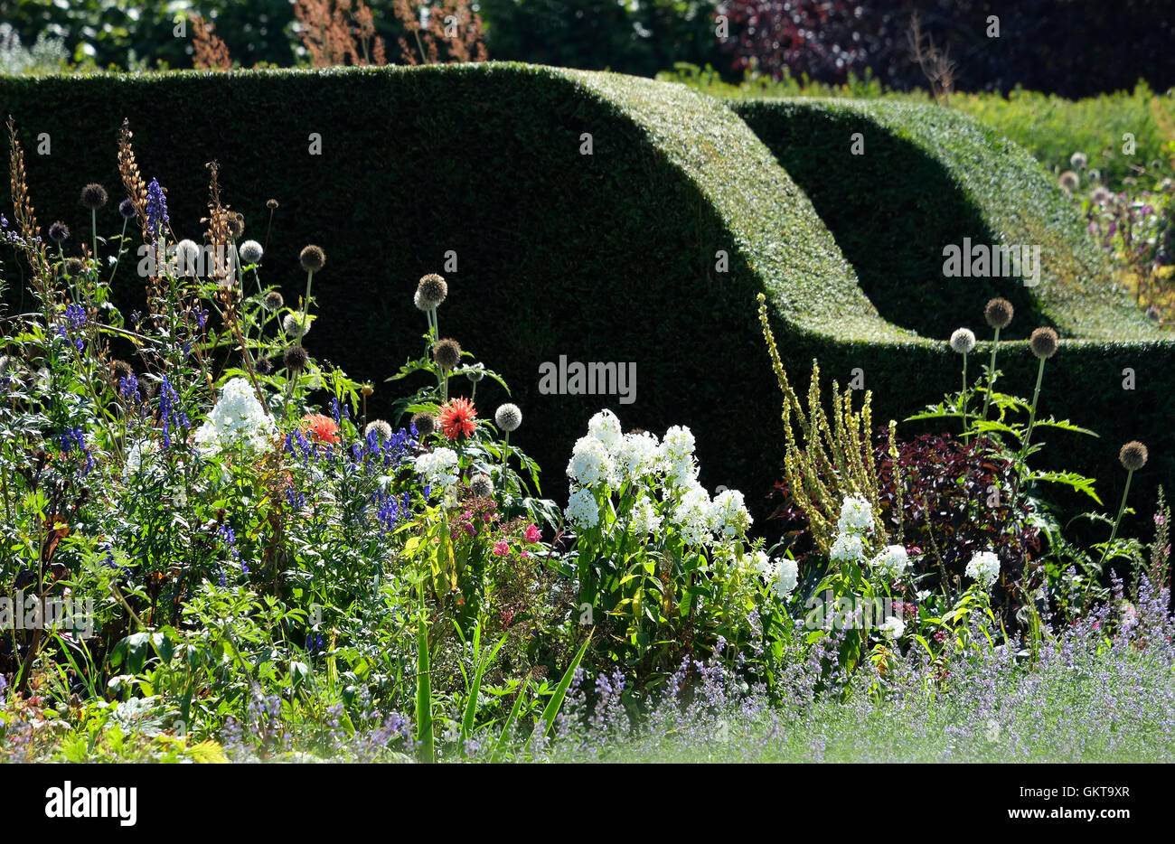 Curved hedges hi-res stock photography and images - Alamy