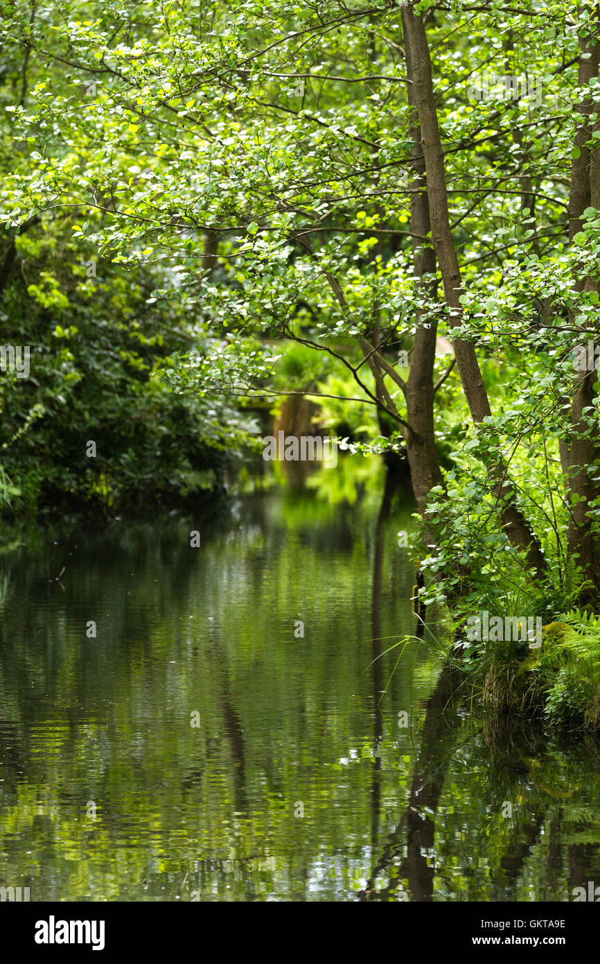 Village stream hi-res stock photography and images - Alamy