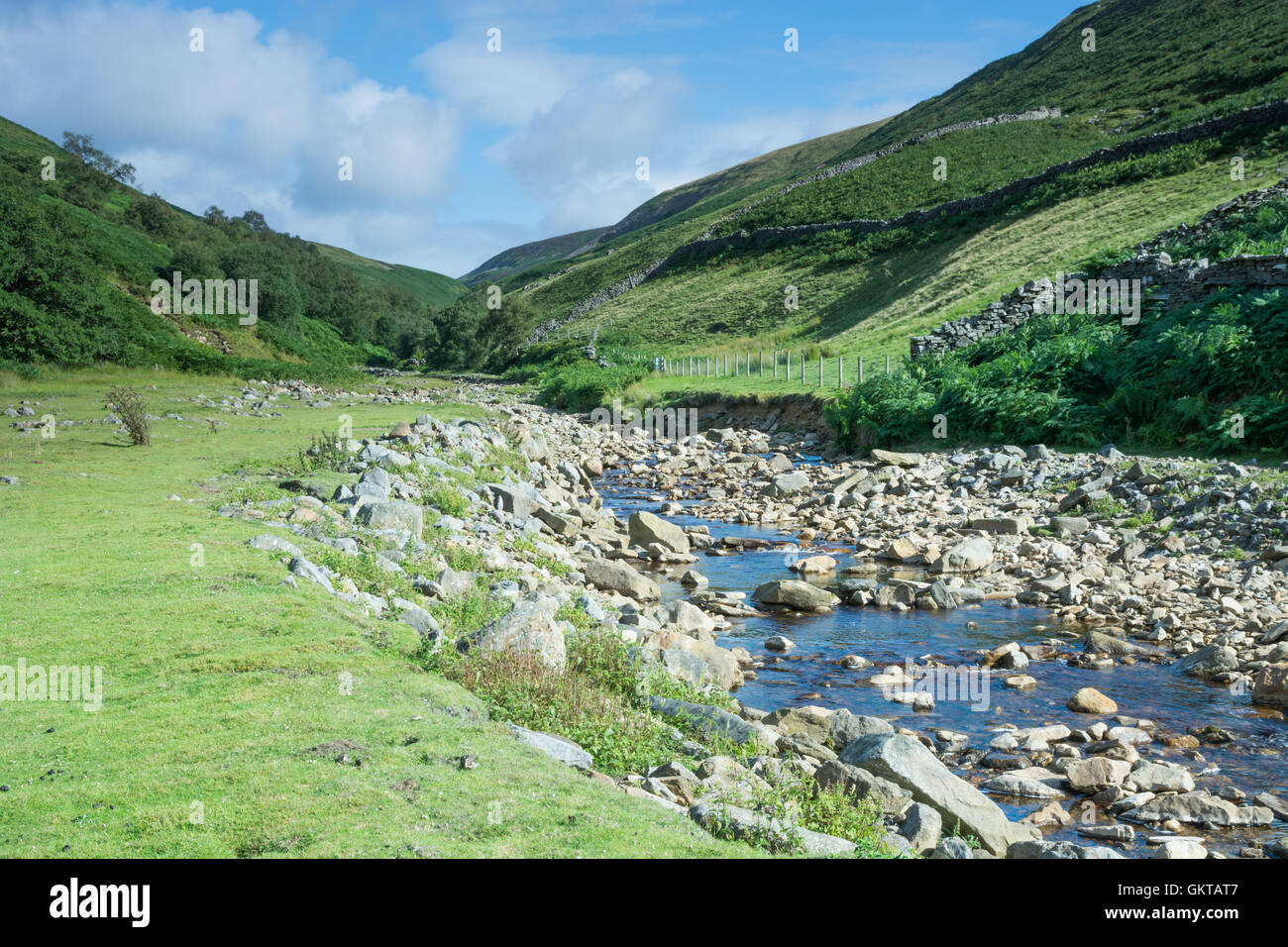 Gunnerside Gill in Swaledale in the Yorkshire Dales Stock Photo - Alamy