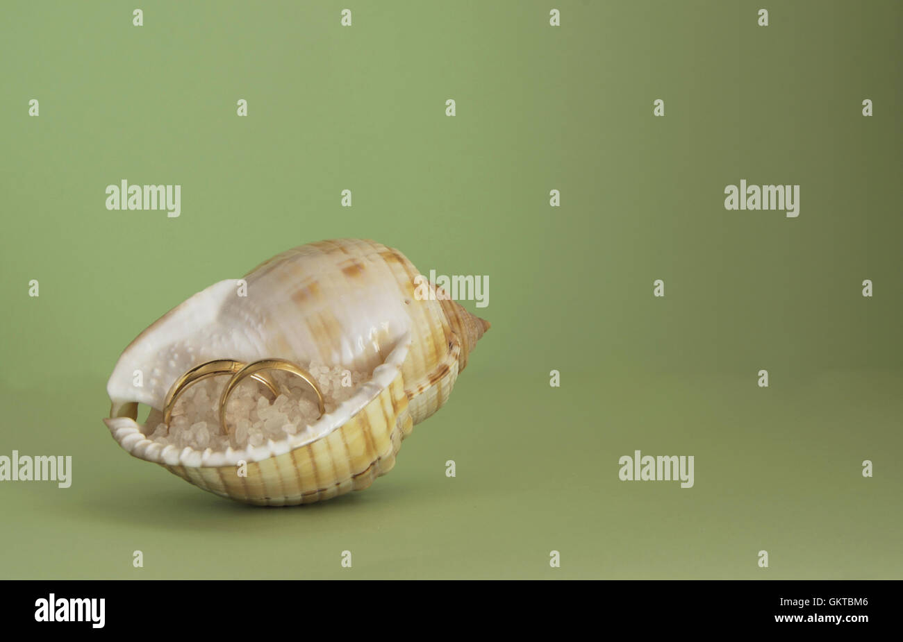 Wedding rings in a shell Stock Photo - Alamy
