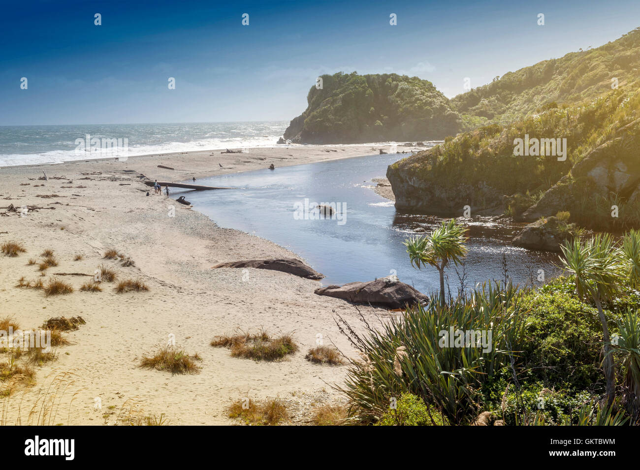 River estuary at Tauparikaka Marine Reserve, Haast, New Zealand Stock ...