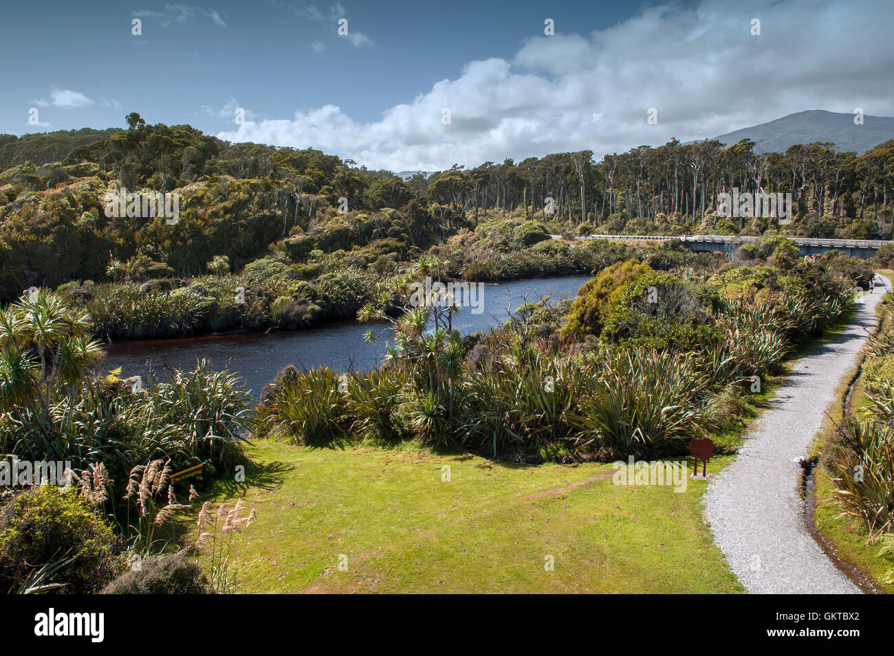 River estuary at Tauparikaka Marine Reserve, Haast, New Zealand Stock ...