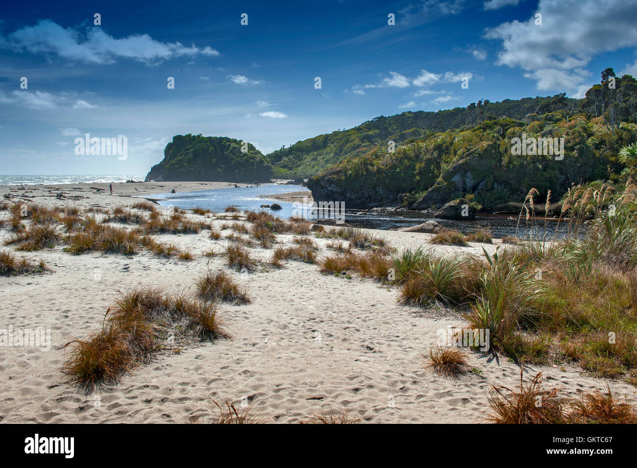 River estuary at Tauparikaka Marine Reserve, Haast, New Zealand Stock ...