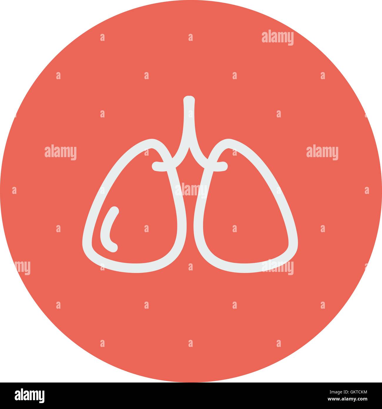 Human lungs heart and trachea hi-res stock photography and images - Alamy