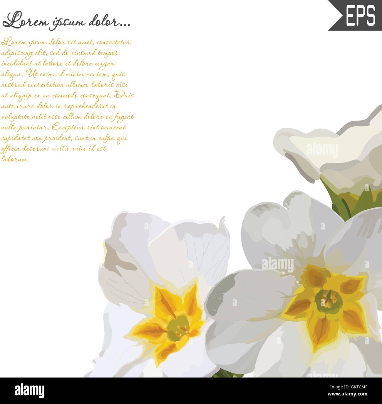 Floral invitation card with beautiful spring flower and banner style ...