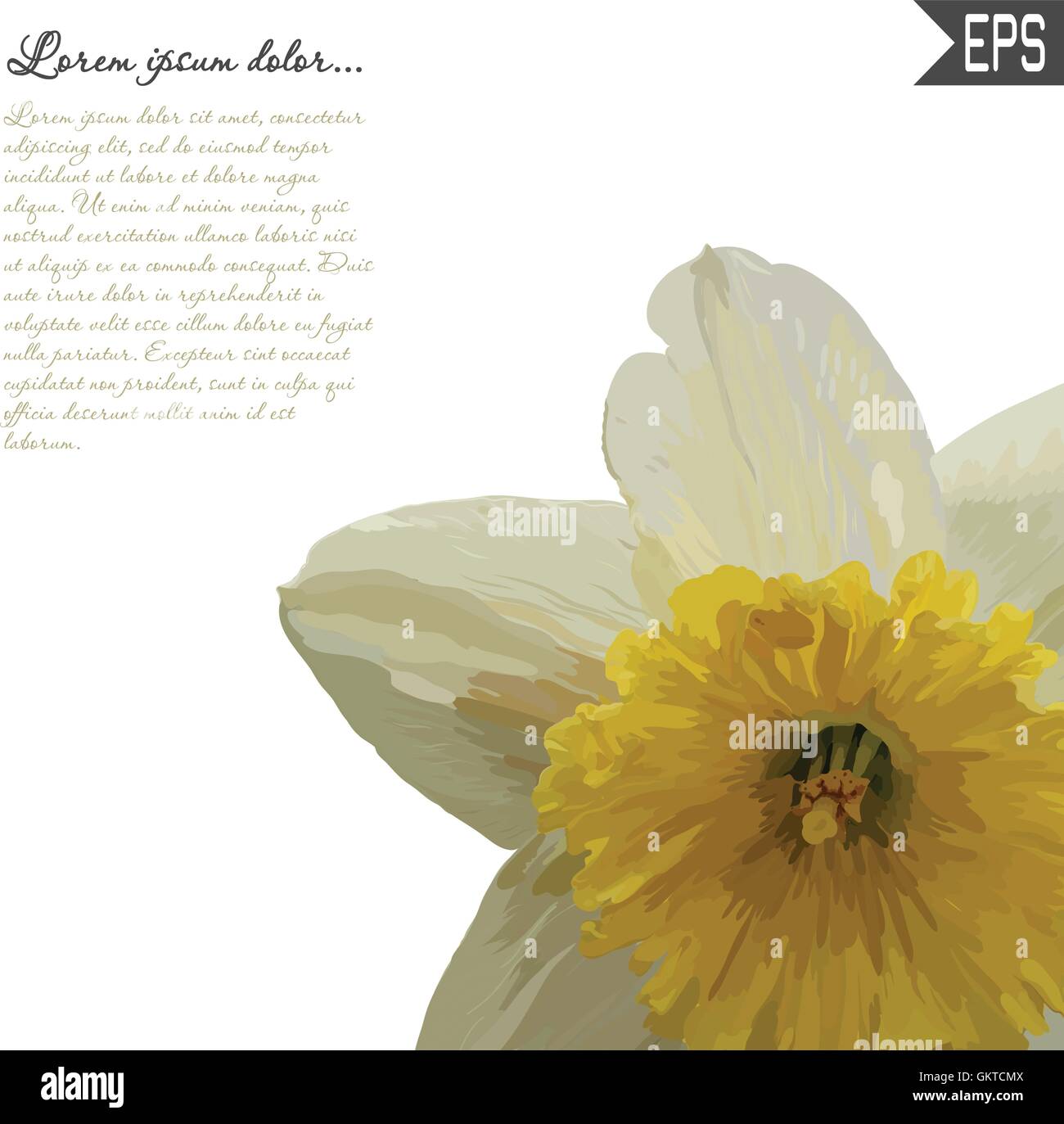 Floral invitation card with beautiful spring flower and banner style ...