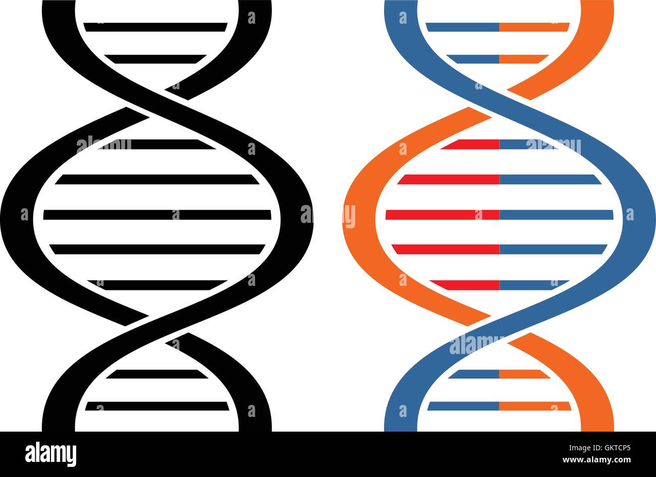 Protein dna Stock Vector Images - Alamy