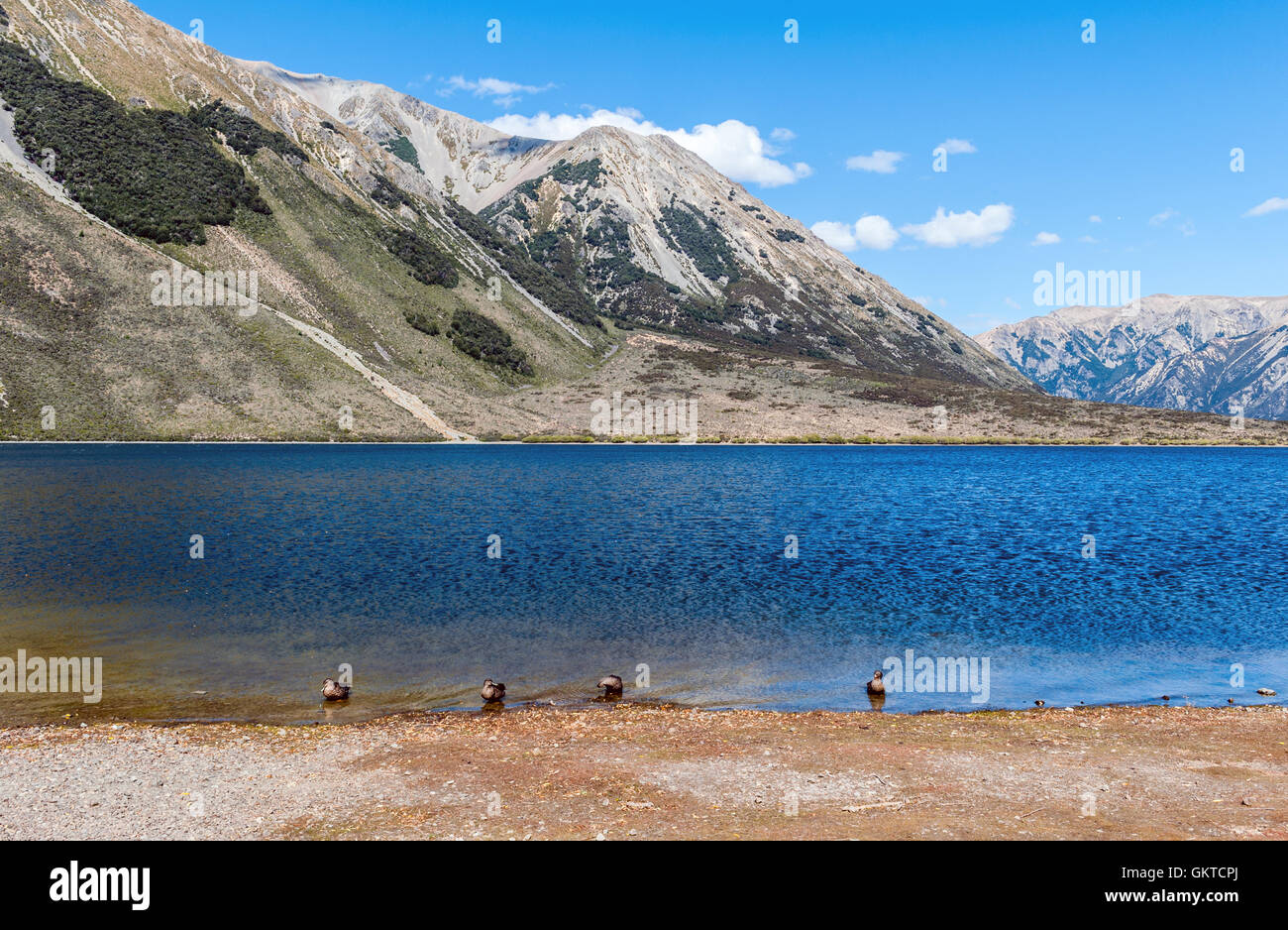 Lake Pearson / Moana Rua Wildlife Refuge located in Craigieburn Forest ...