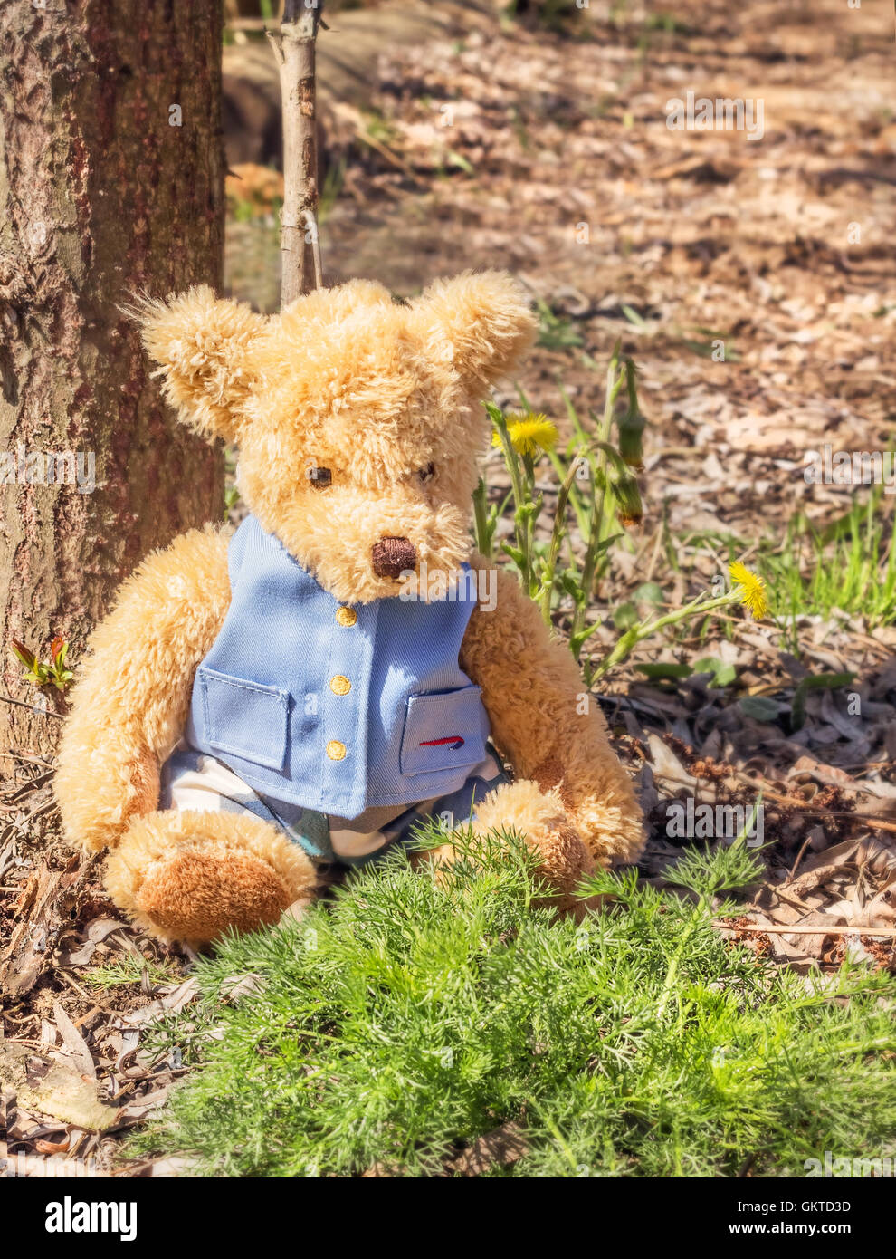 Lost teddy bear hi-res stock photography and images - Alamy
