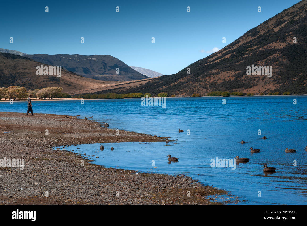 Lake Pearson / Moana Rua Wildlife Refuge located in Craigieburn Forest ...