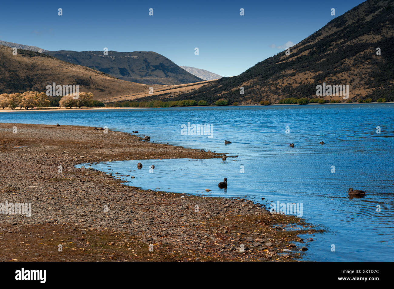 Lake Pearson / Moana Rua Wildlife Refuge located in Craigieburn Forest ...