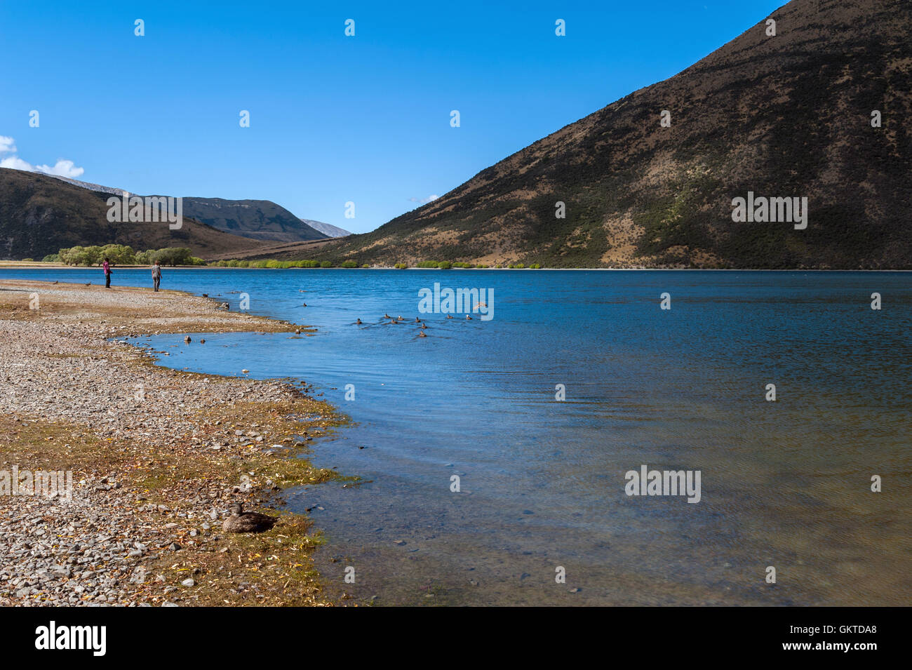 Lake Pearson / Moana Rua Wildlife Refuge located in Craigieburn Forest ...