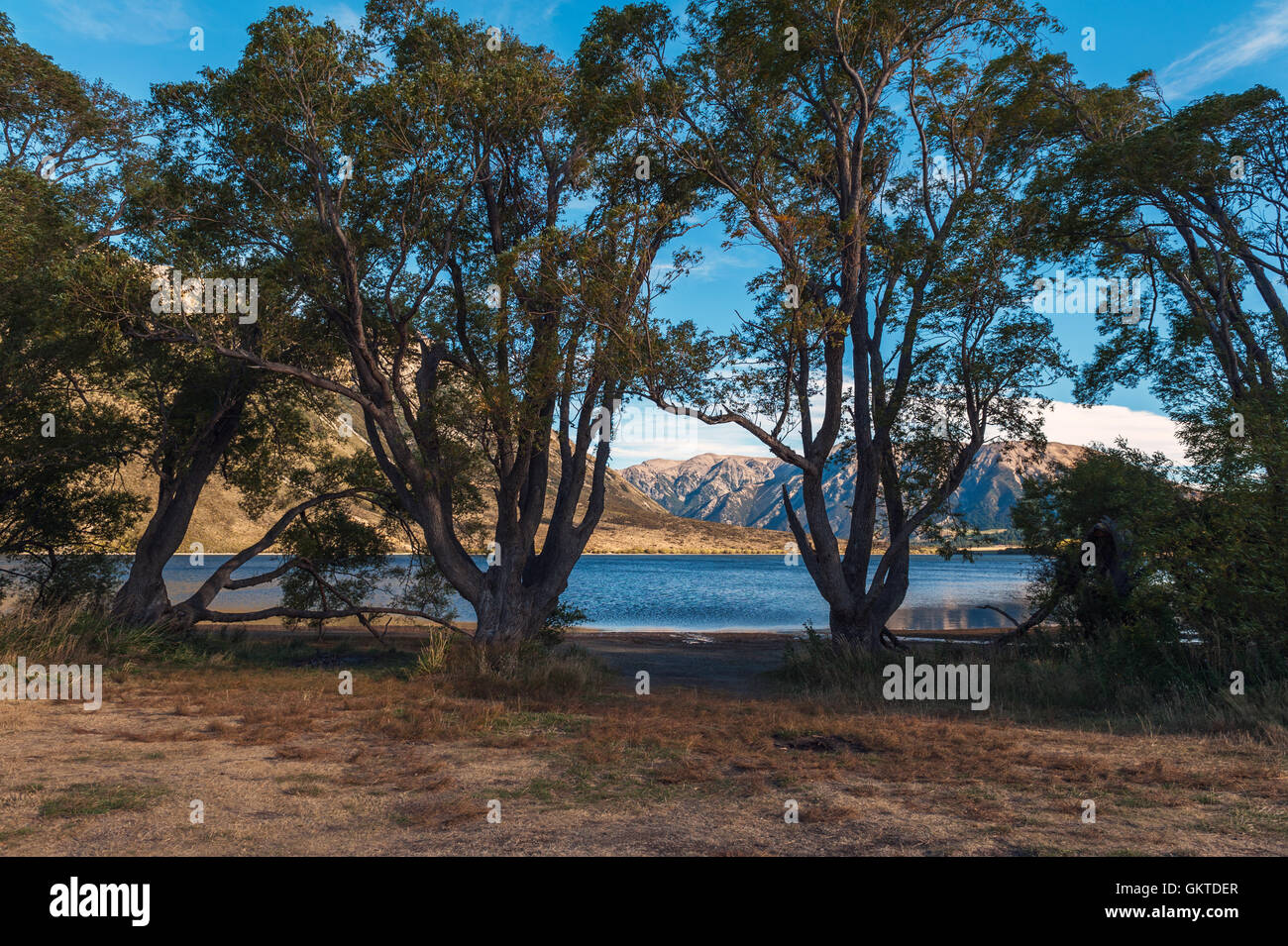 Lake Pearson / Moana Rua Wildlife Refuge located in Craigieburn Forest ...