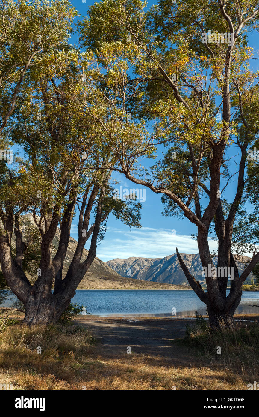 Lake Pearson / Moana Rua Wildlife Refuge located in Craigieburn Forest ...