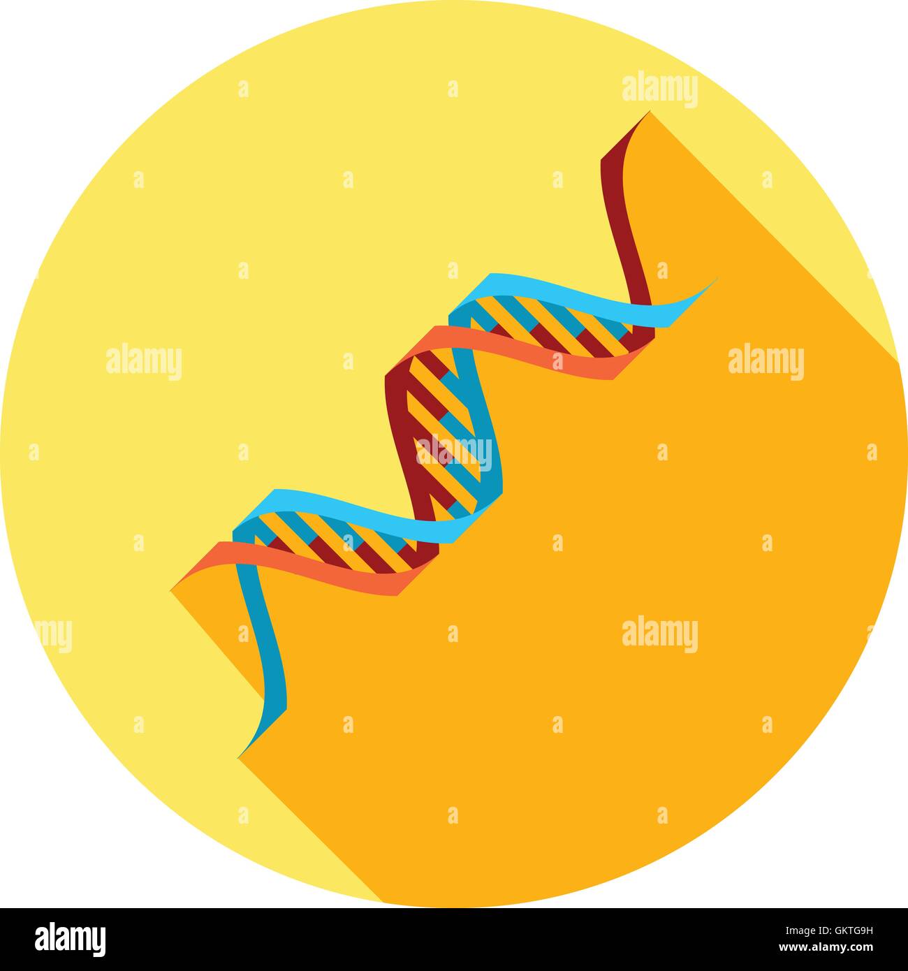Protein dna Stock Vector Images - Alamy