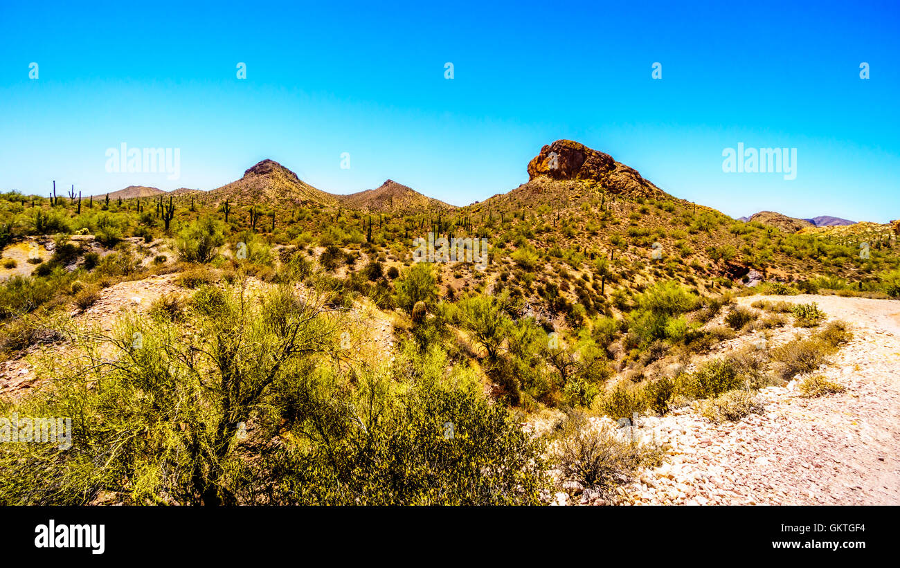 Desert Landscape of Tonto National Forest along the Apache Trail in ...