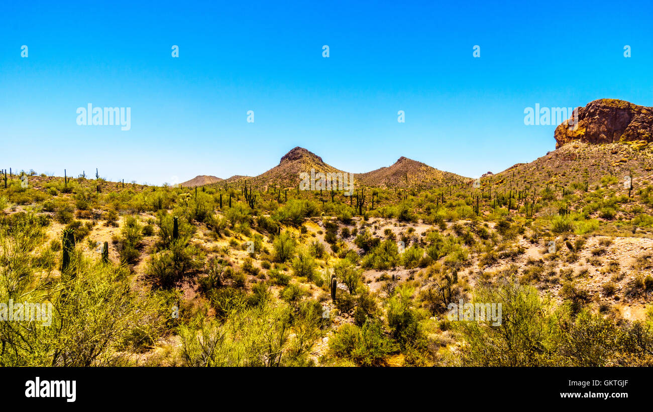 Desert Landscape of Tonto National Forest along the Apache Trail in ...