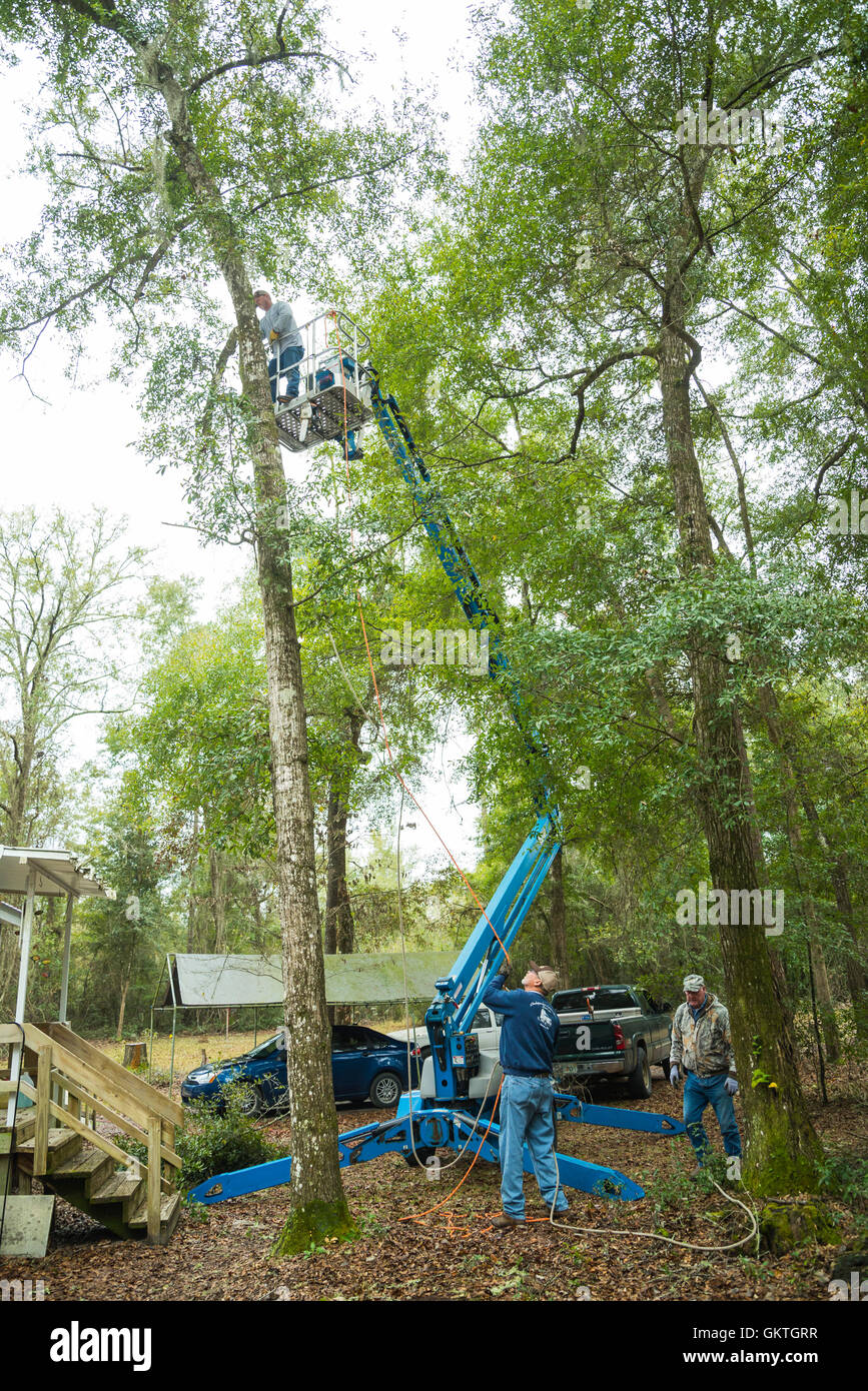 Bucket truck hi-res stock photography and images - Alamy