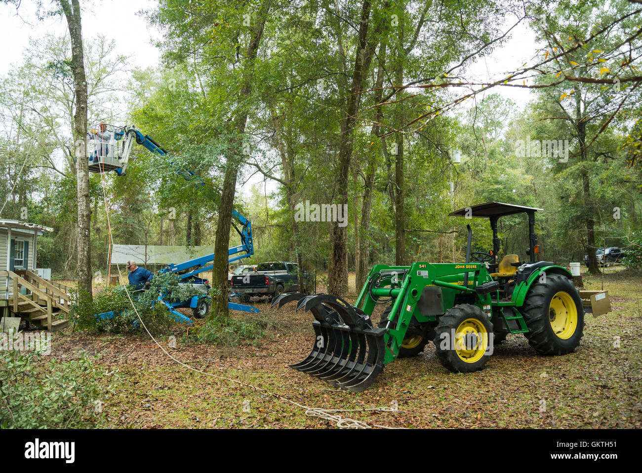 Tree removal service using a bucket truck to take out trees in North ...