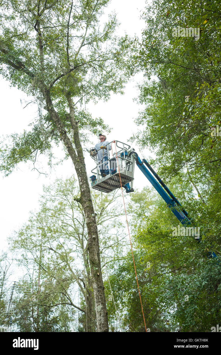 Bucket truck hi-res stock photography and images - Alamy