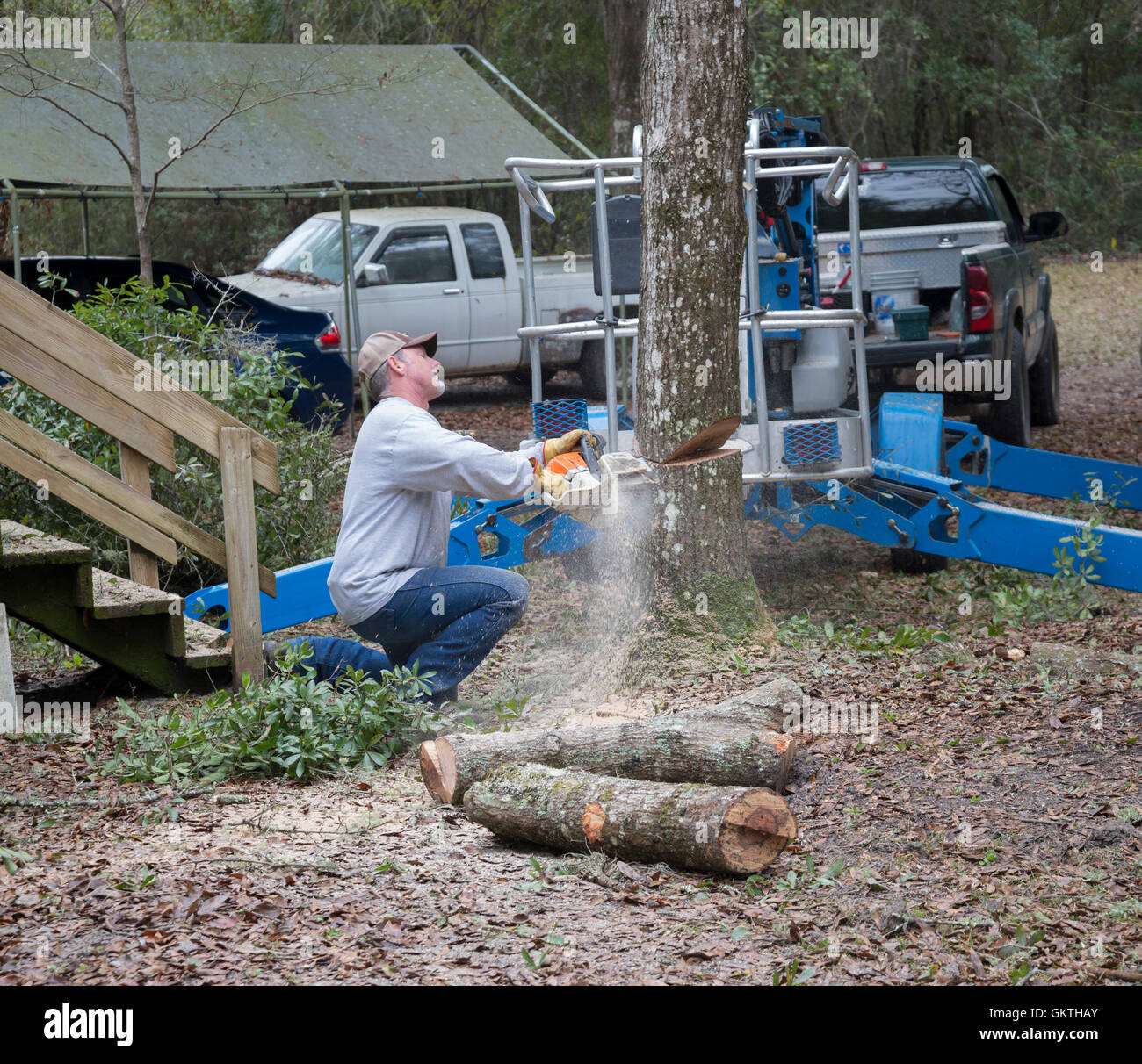 Man cutting tall tree hi-res stock photography and images - Alamy