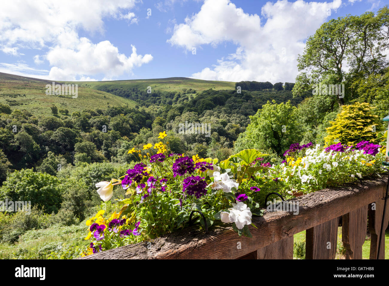 Dunkery Beacon, at 510 metres the highest point on Exmoor, viewed from ...