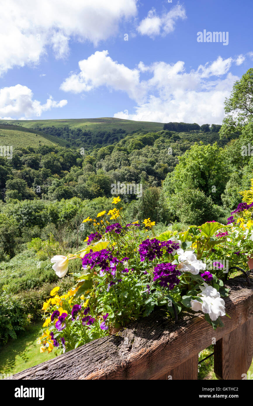 Dunkery Beacon, at 510 metres the highest point on Exmoor, viewed from ...