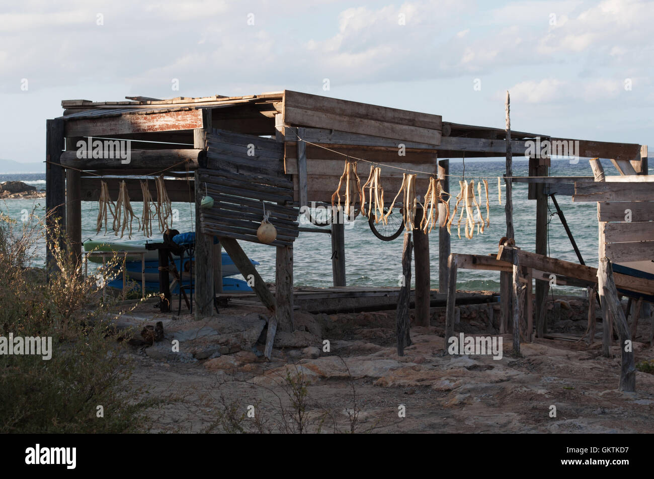 Octopus escape hi-res stock photography and images - Alamy