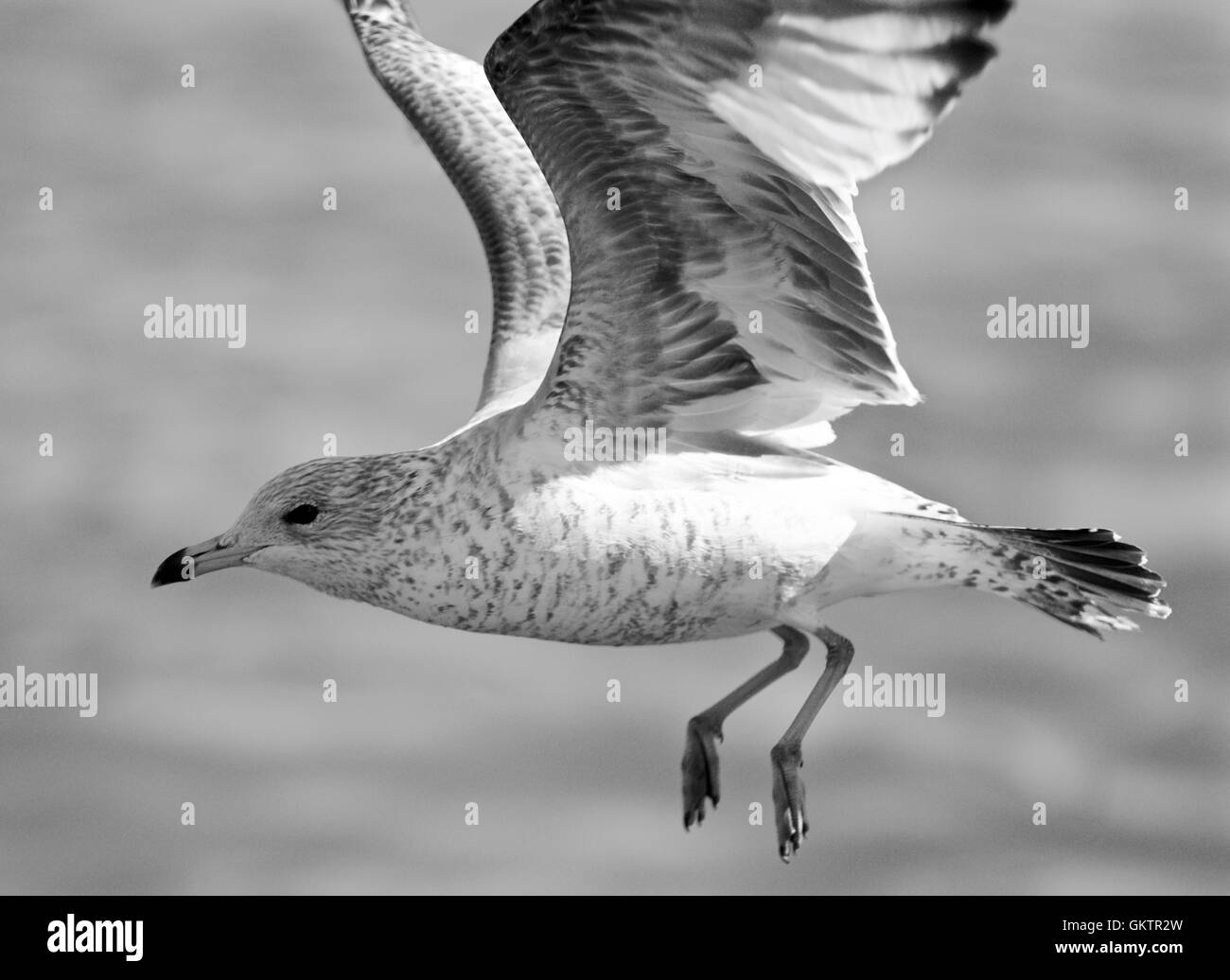 Blue sky background image Black and White Stock Photos & Images - Alamy