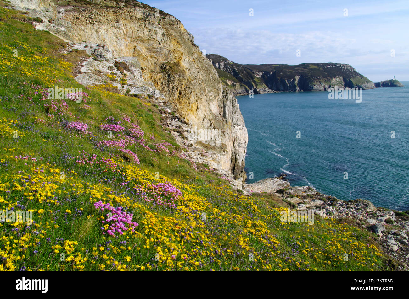 North Stack, View towards South Stack Lighthouse Stock Photo - Alamy