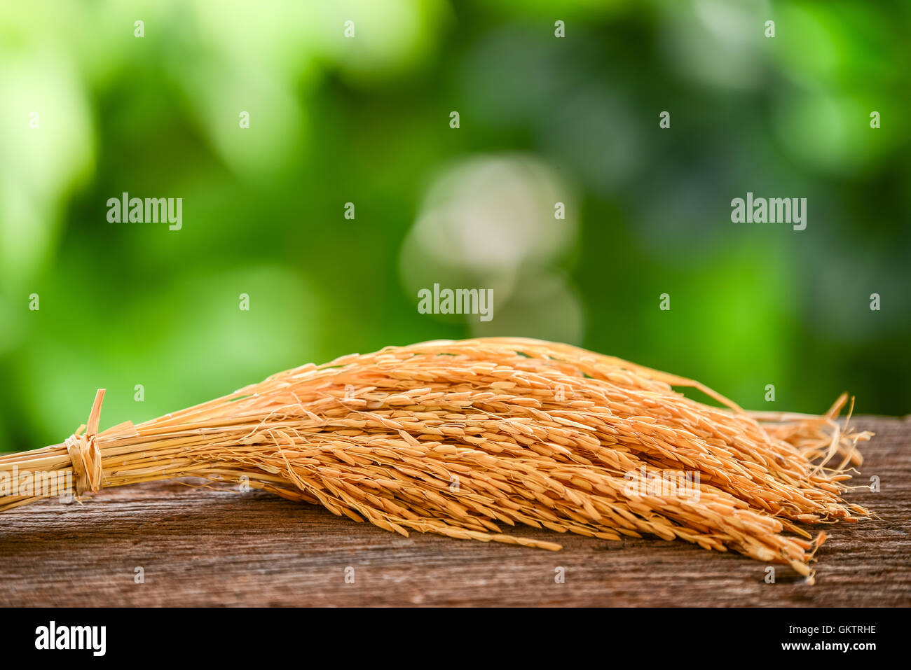 Paddy sack hi-res stock photography and images - Alamy