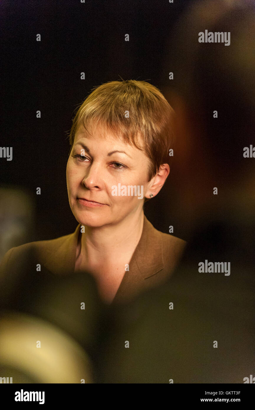Caroline Lucas MP, on the night she was elected to Parliament, the ...